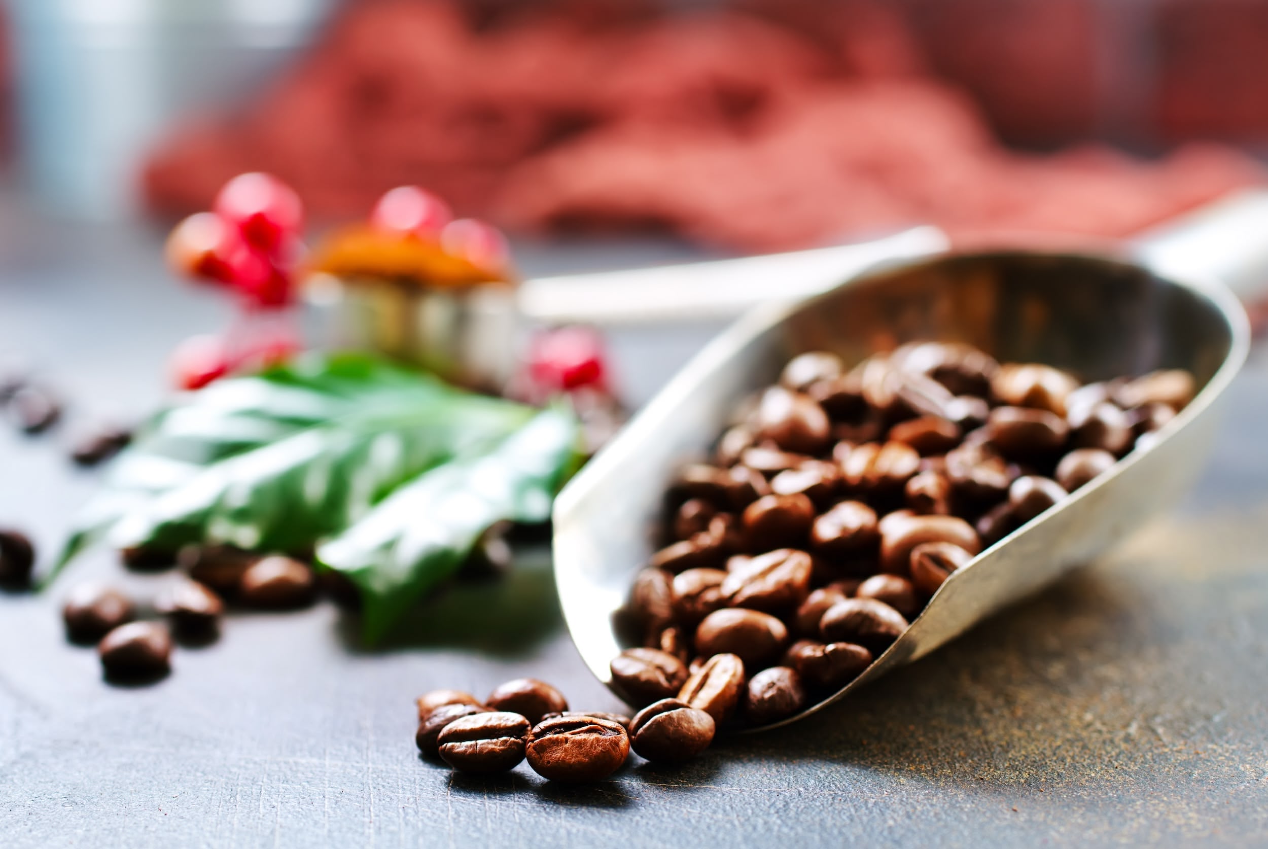 Shop Coffee - Move Together